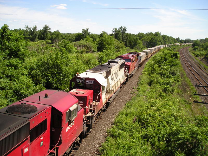 Downsized Image [soo6003.jpg - 166kB]